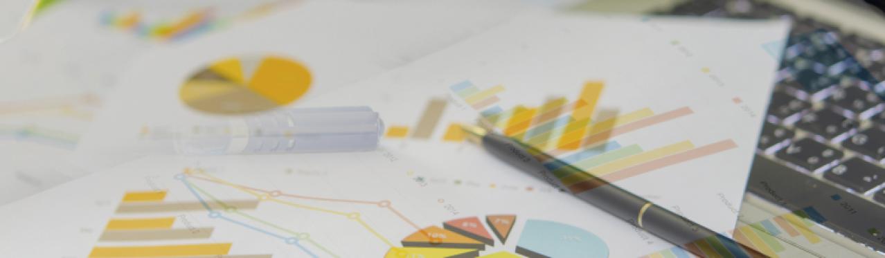 IP5 statistics reports | fiveIPoffices